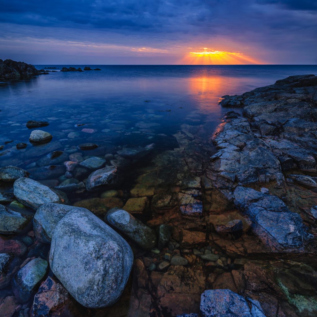 Michael Molter - NiSi Gallery