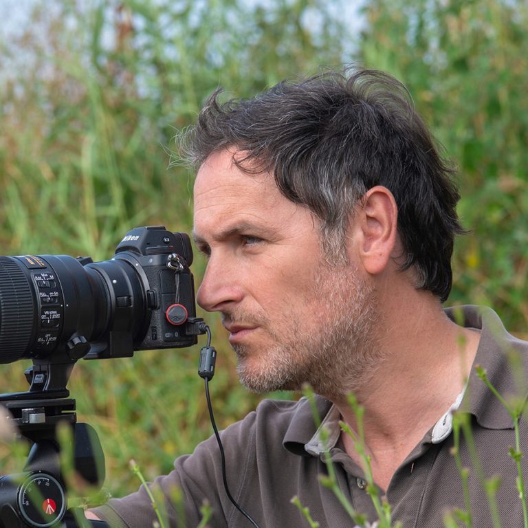 Alberto Ghizzi Panizza - NiSi Gallery