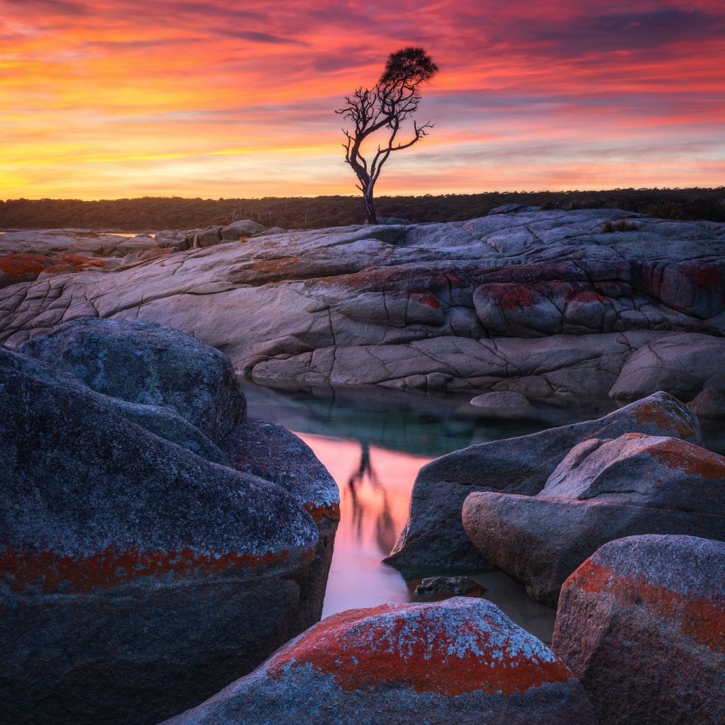 Brett Wood - NiSi Gallery